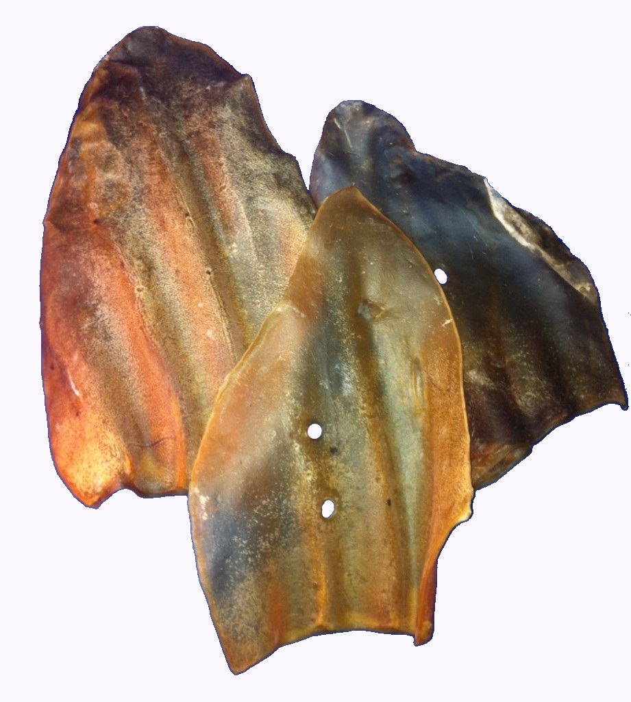 Cow Ears - Nature`s Own Dog Chews