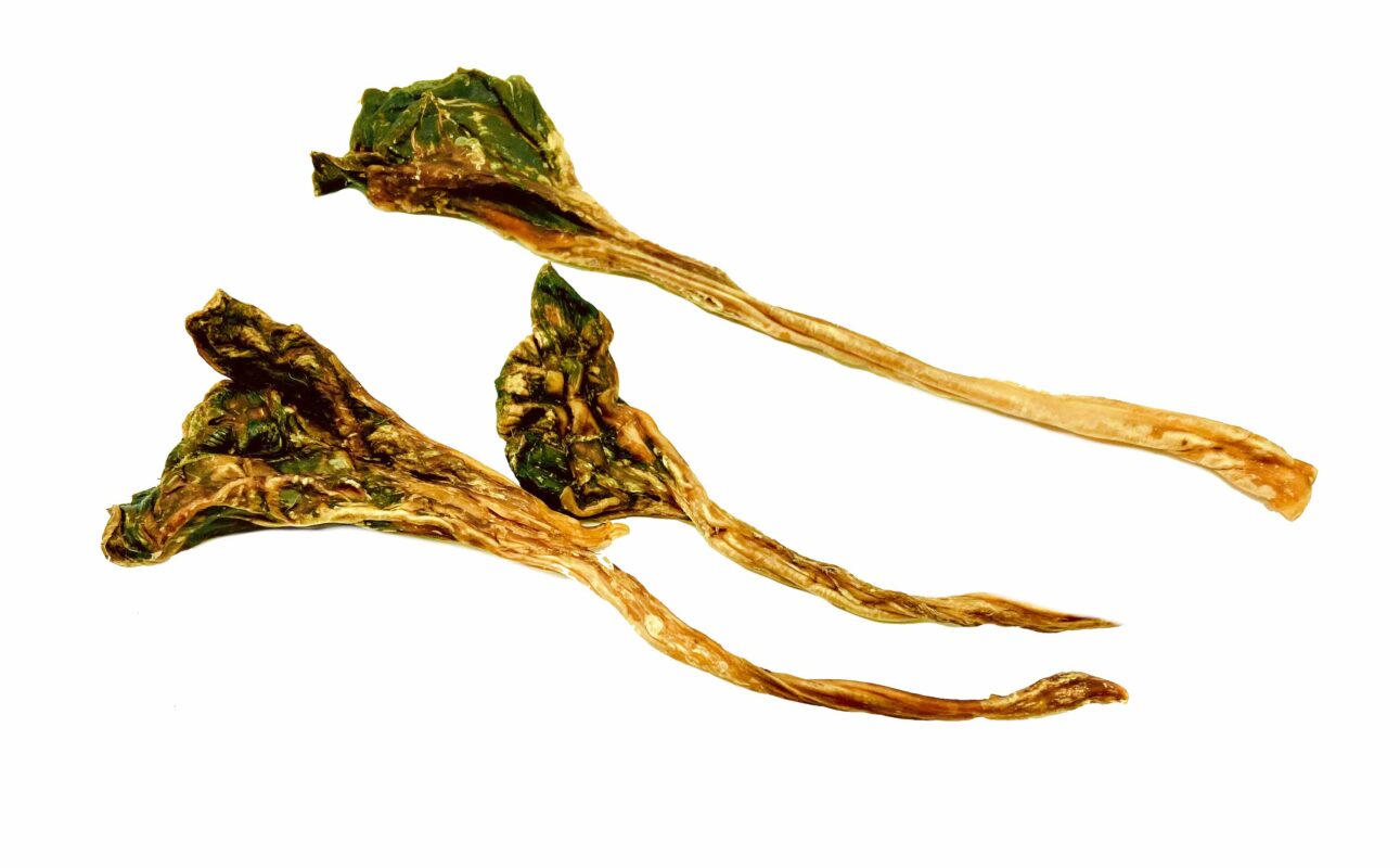 Kangaroo Tendons - Nature`s Own Dog Chews